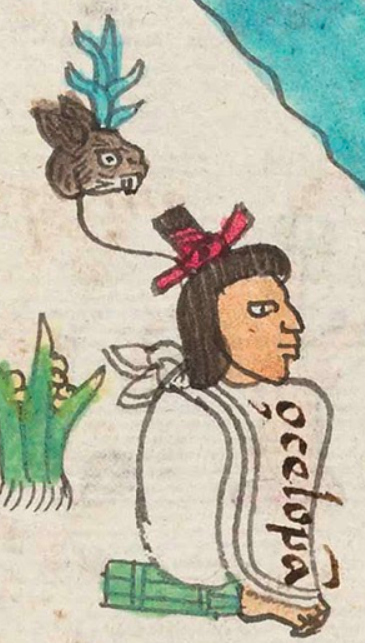 Acacitl (Mdz2r) | Visual Lexicon of Aztec Hieroglyphs