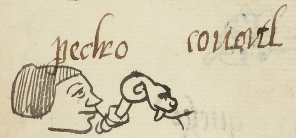 Coatl (MH638v) | Visual Lexicon of Aztec Hieroglyphs