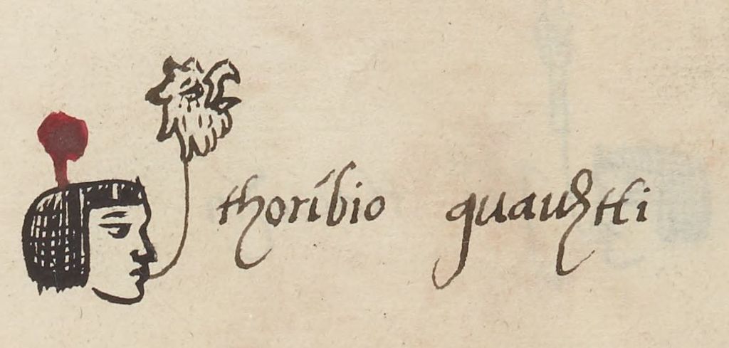 Cuauhtli (MH485r) | Visual Lexicon of Aztec Hieroglyphs