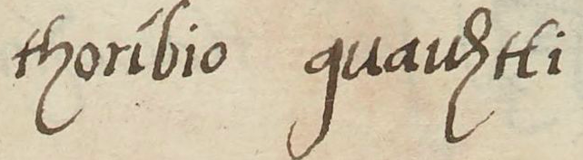 Cuauhtli (MH485r) | Visual Lexicon of Aztec Hieroglyphs