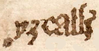 izcalli (TR6v) | Visual Lexicon of Aztec Hieroglyphs