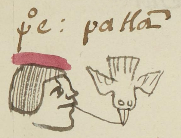 Patlan (MH640r) | Visual Lexicon of Aztec Hieroglyphs