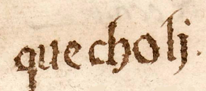 quecholli (TR4v) | Visual Lexicon of Aztec Hieroglyphs