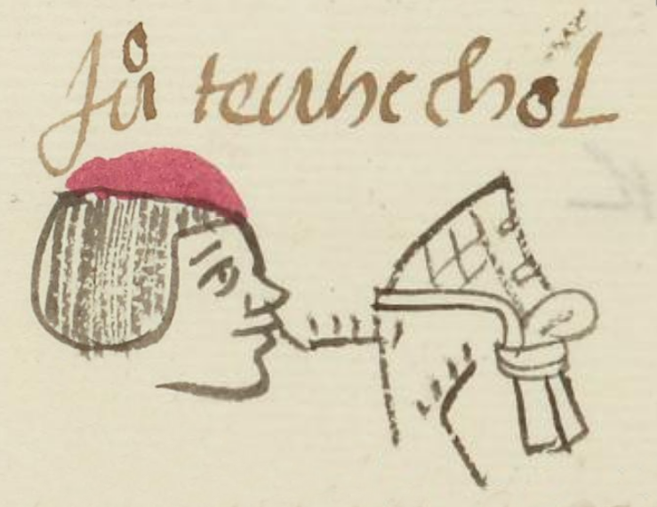 Tecuhchol (MH640v) | Visual Lexicon of Aztec Hieroglyphs