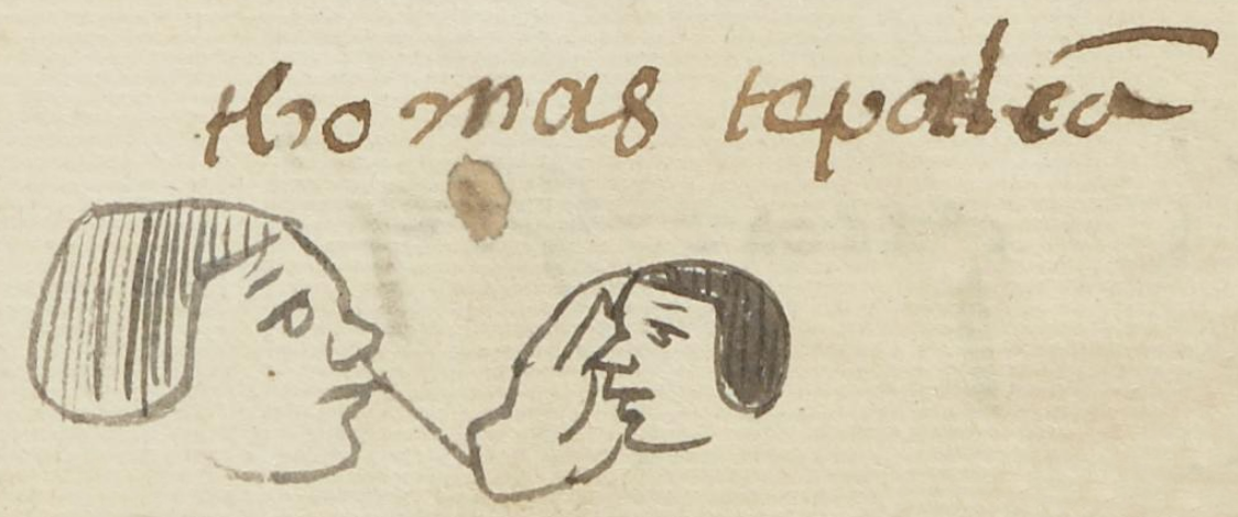 Tepalca (MH641r) | Visual Lexicon of Aztec Hieroglyphs