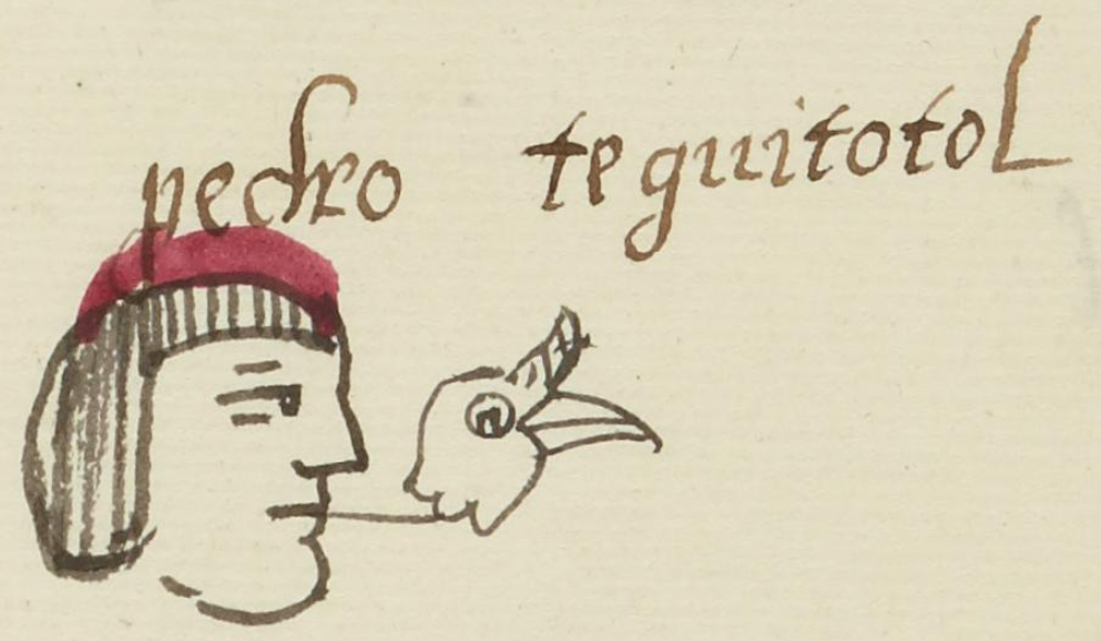 Tequitotol (MH639v) | Visual Lexicon of Aztec Hieroglyphs
