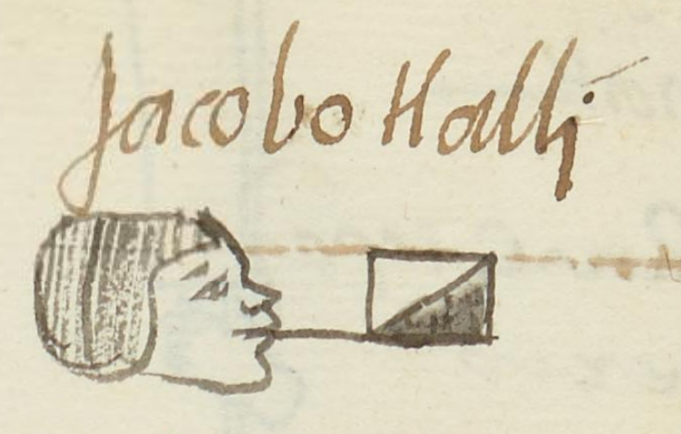 Tlalli (MH640v) | Visual Lexicon of Aztec Hieroglyphs