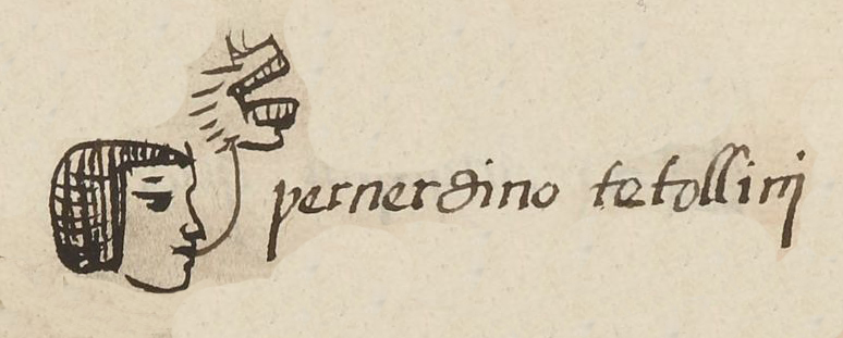 Tetolini (MH485r) | Visual Lexicon of Aztec Hieroglyphs