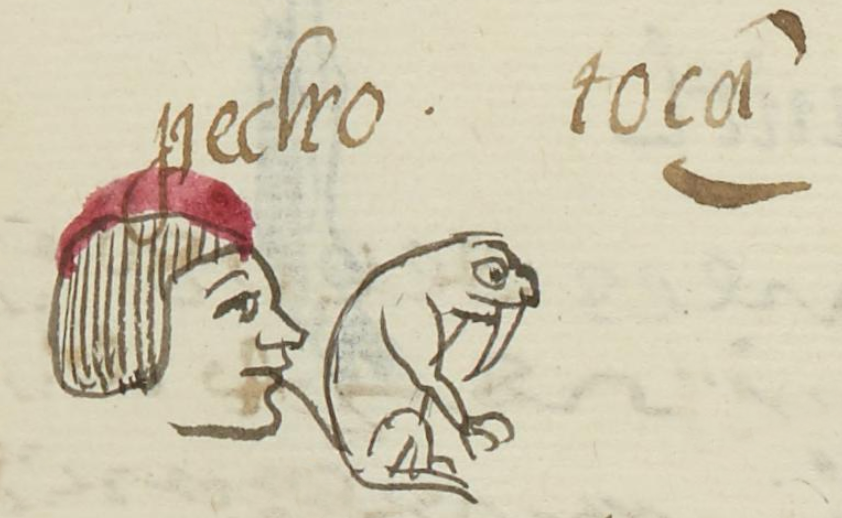 Tozan (MH642r) | Visual Lexicon of Aztec Hieroglyphs