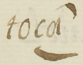 Tozan (MH642r) | Visual Lexicon of Aztec Hieroglyphs