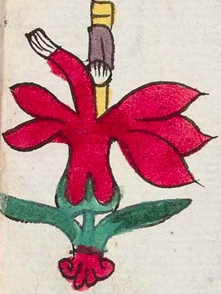 acaxochitl (Mdz30r) | Visual Lexicon of Aztec Hieroglyphs