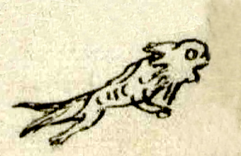 axolotl (T2782:15:17r) | Visual Lexicon of Aztec Hieroglyphs