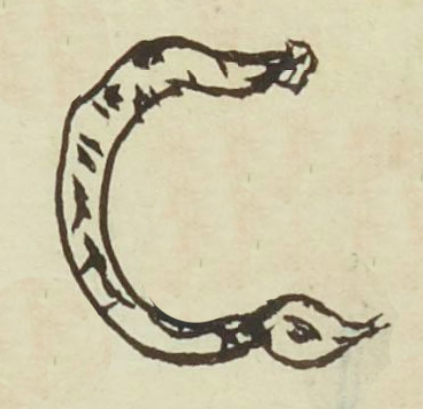 coatl (MH490v) | Visual Lexicon of Aztec Hieroglyphs