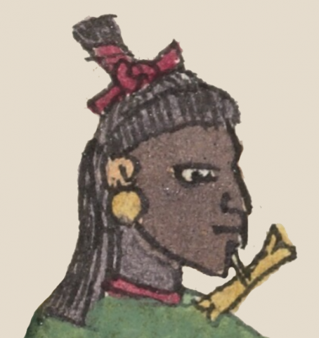 Otomitl (Mdz64r) | Visual Lexicon of Aztec Hieroglyphs